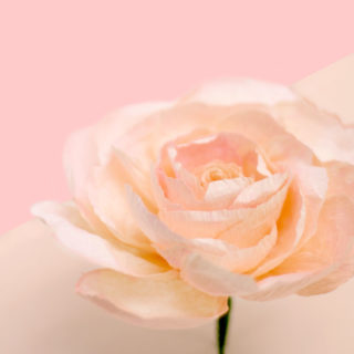 Fresh Cut Paper Flowers: The Garden Rose