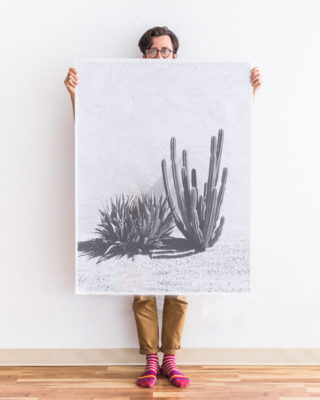 Quick Pick: Parabo Press