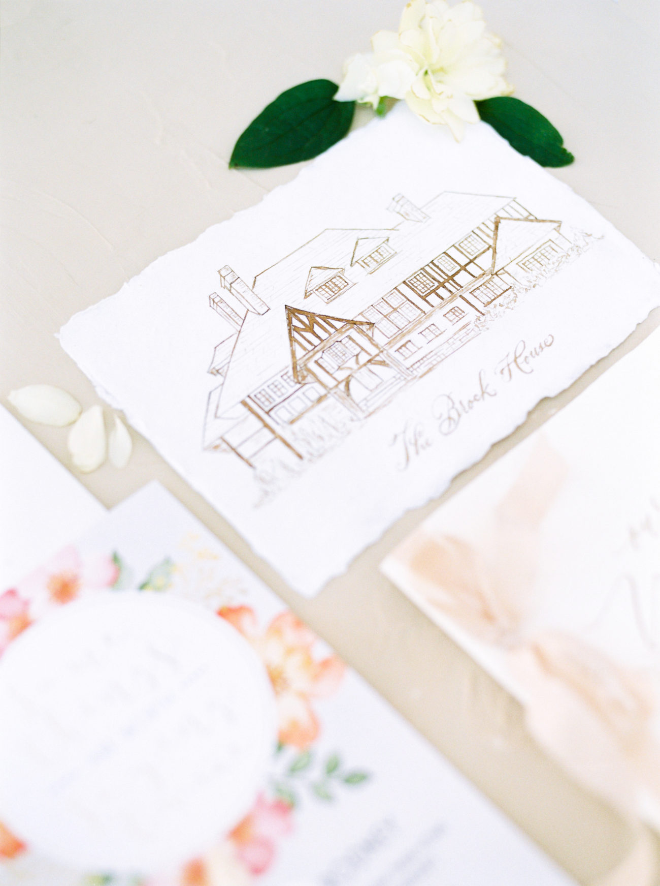 Inspiring Calligraphers: Maurelle Calligraphy and Design